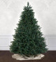 Burberry Fir Artificial Christmas Trees | Treetime - Platinum Collection