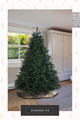 Burberry Fir Artificial Christmas Trees | Treetime - Platinum Collection