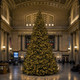 30' Tower Commercial Artificial Christmas Tree - Treetime
