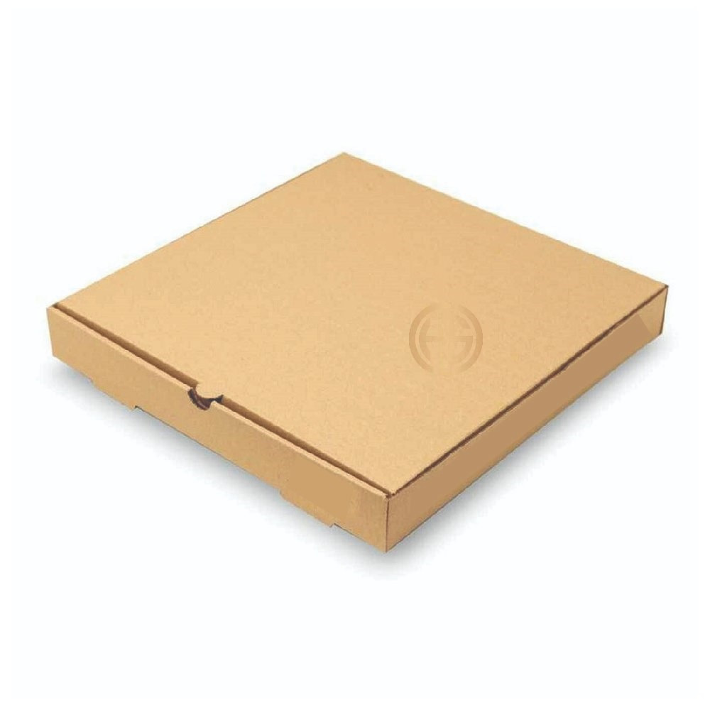 Plain Brown Pizza Box 9"