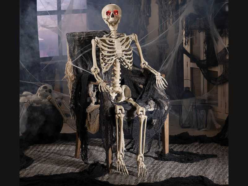 5-Foot Lifesize Posable Skeleton | Realistic Skeleton Props