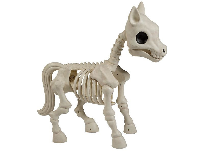 Standing Pony Plastic Skeleton | Halloween Decor