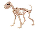 Skeleton Dog | This Pooch Is Dying For A Delicious Treat!