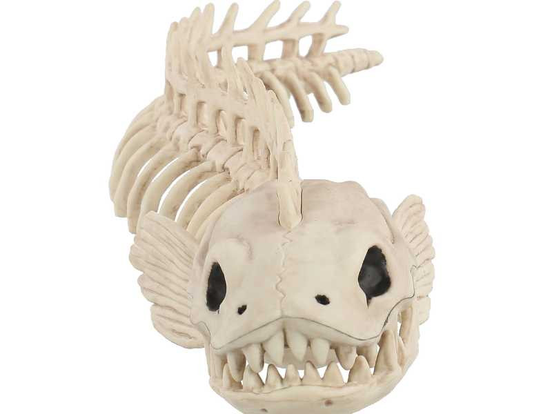Skeleton Eel Prop: Authenticity and Chilling Realism