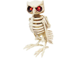 Owl Skeleton Animated | Shop for Realistic Halloween Decor