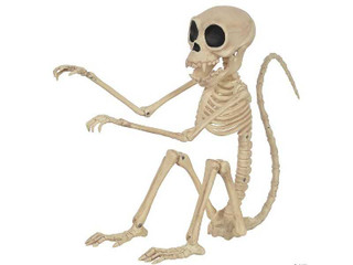 Spooky Skeleton Monkey | Creepy Halloween Decorations
