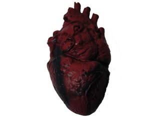 Bloody Heart Prop | Realistic Halloween Props For Sale!