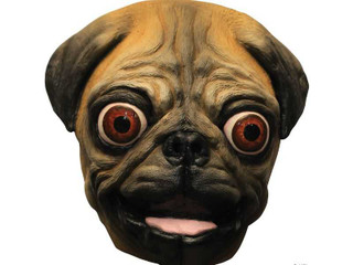 Realistic Halloween Masks | Transform with Adult Pug Mask