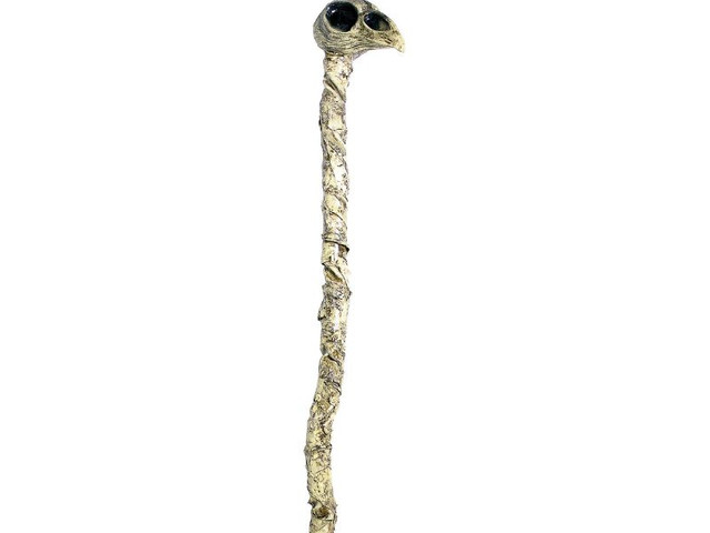 Crosier Crow Staff | Unique Halloween Props