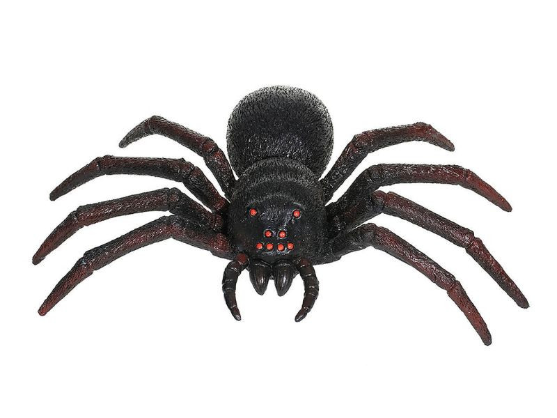 20" Black Plastic Spider Tabletop Decor - Realistic Halloween Prop