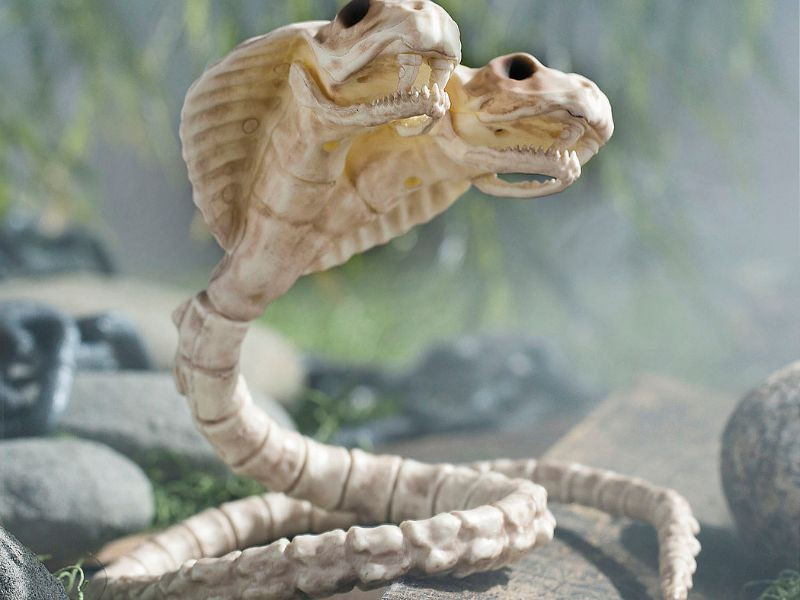 Two Headed Cobra Snake Skeleton - Halloween Snake Prop