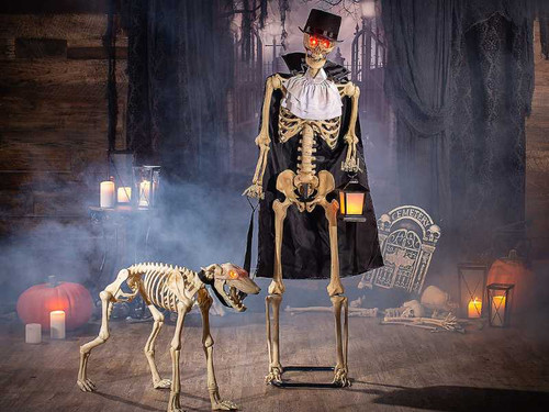 Animated Dapper Skeleton & Dog Prop: Lifelike Animation