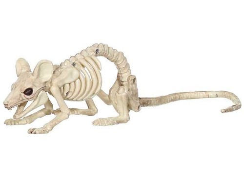 Realistic Crawling Rat Skeleton | Realistic Skeleton Props