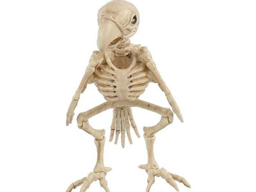 Skeleton Parrot Prop | Haunting Horror Decoration