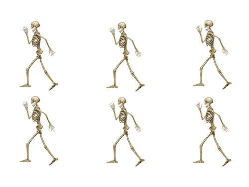 Profile Pete Jointed Skeleton | Set of 6 - Halloween Decor