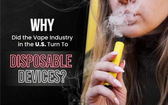 Why Did the Vape Industry in the U.S. Turn To Disposable Devices ...