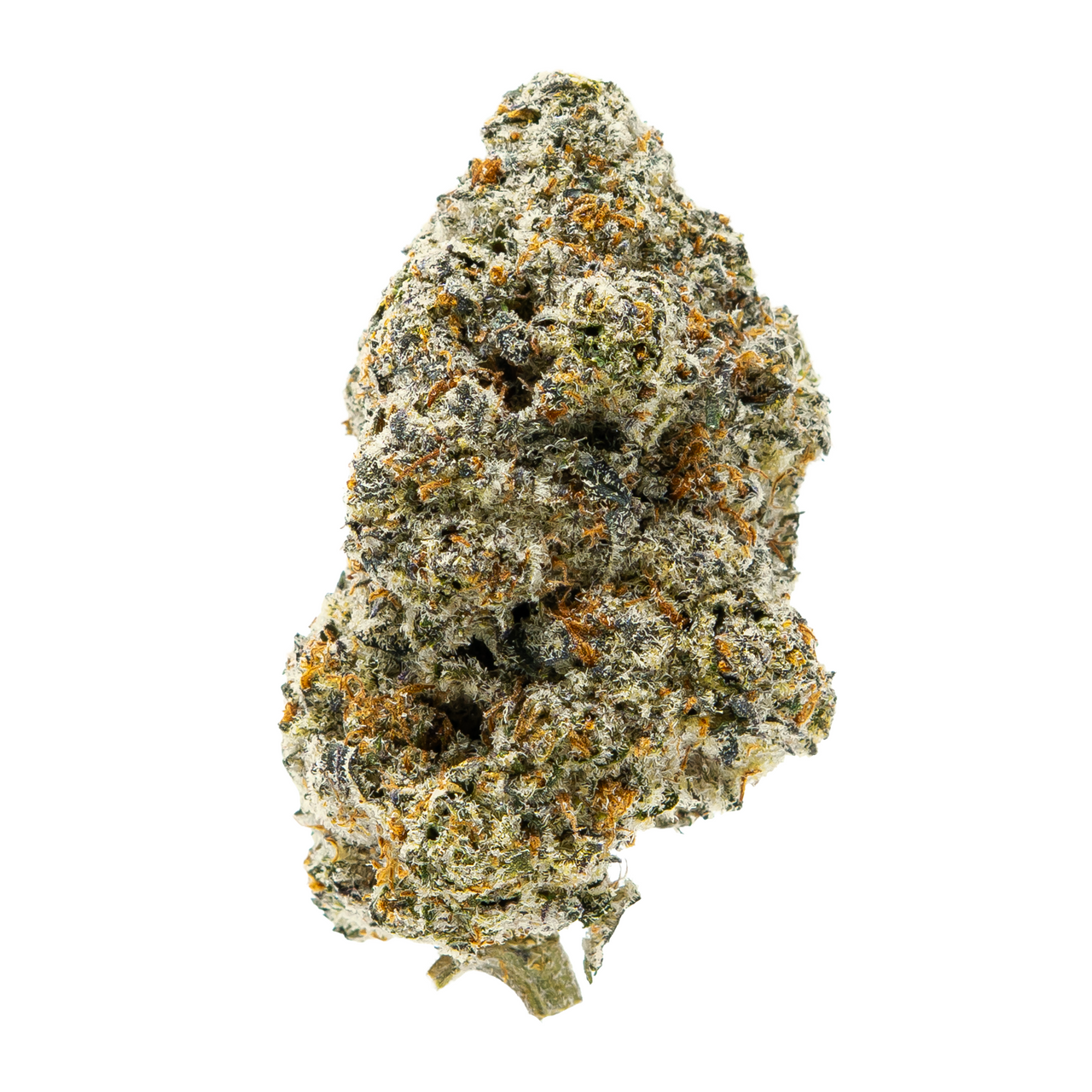 Gold Spectrum THCA Flower (Exotic) 1lb Bag | VapeRanger Wholesale