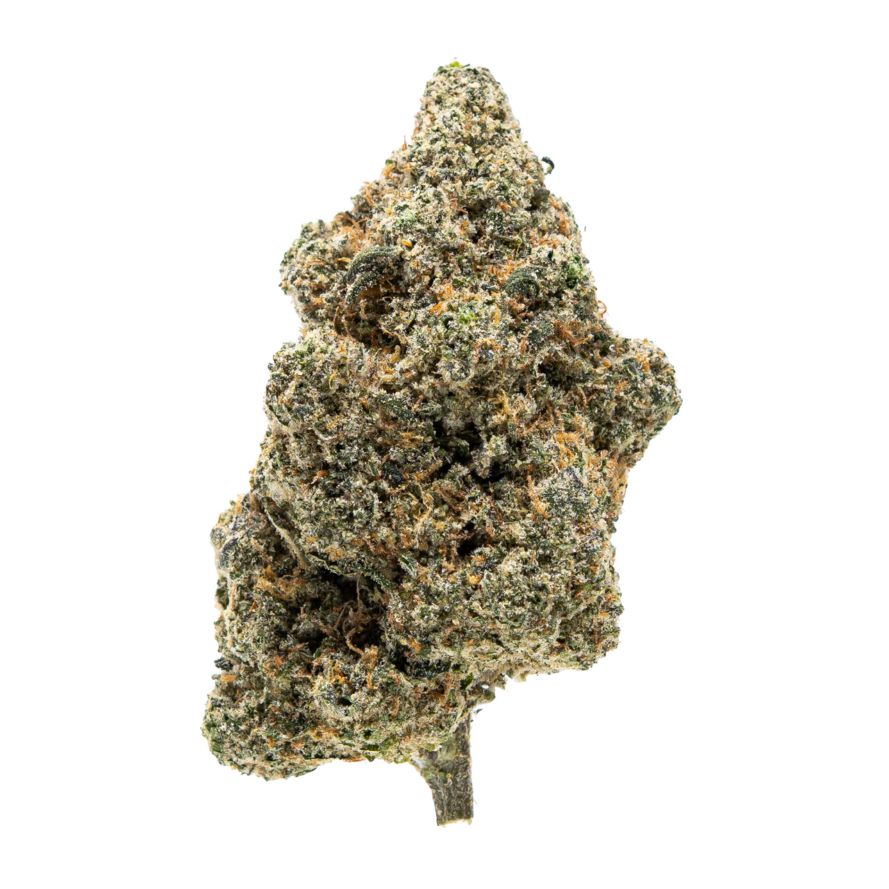 Gold Spectrum THCA Flower (Exotic) 1lb Bag | VapeRanger Wholesale