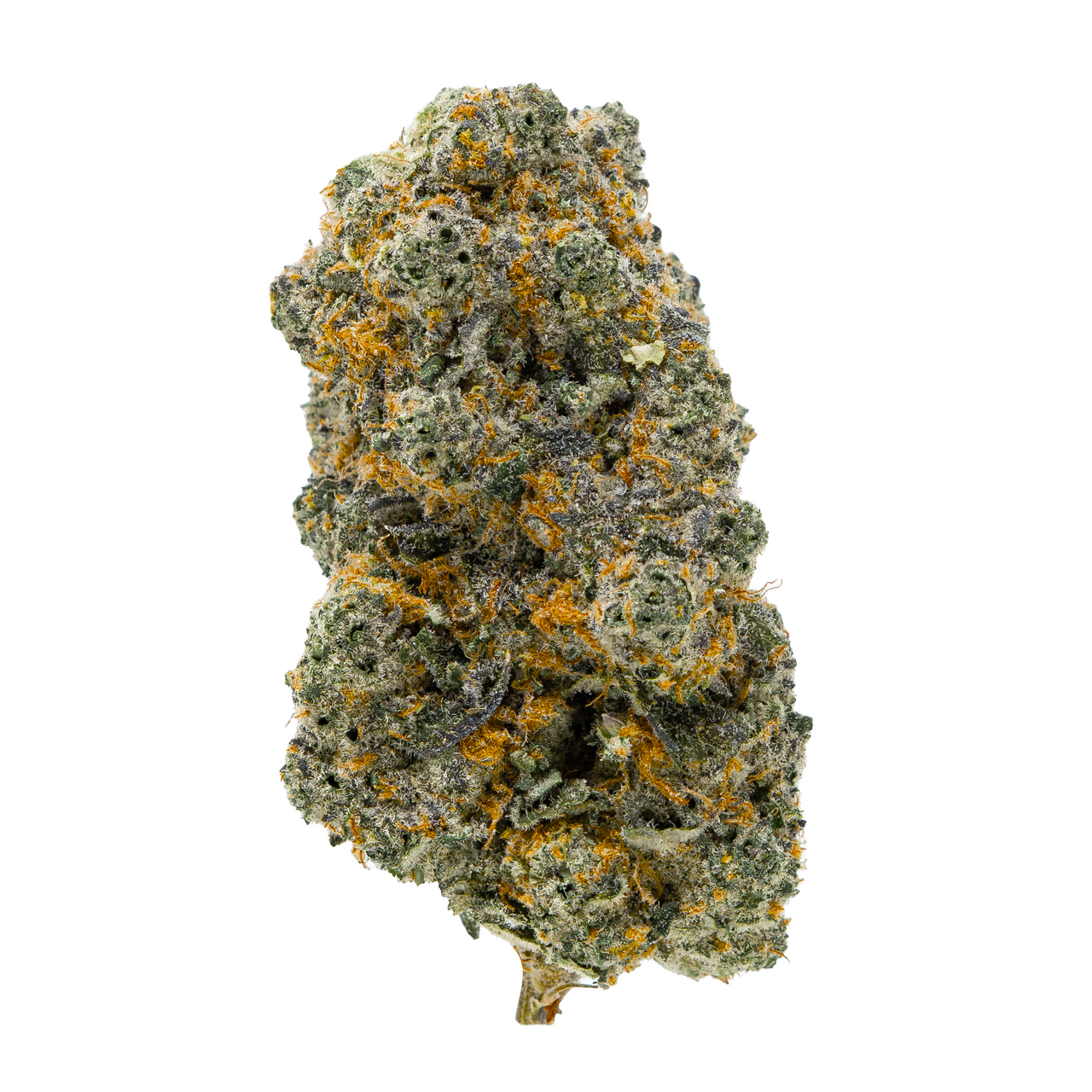 Gold Spectrum THCA Flower (Exotic) 1lb Bag | VapeRanger Wholesale