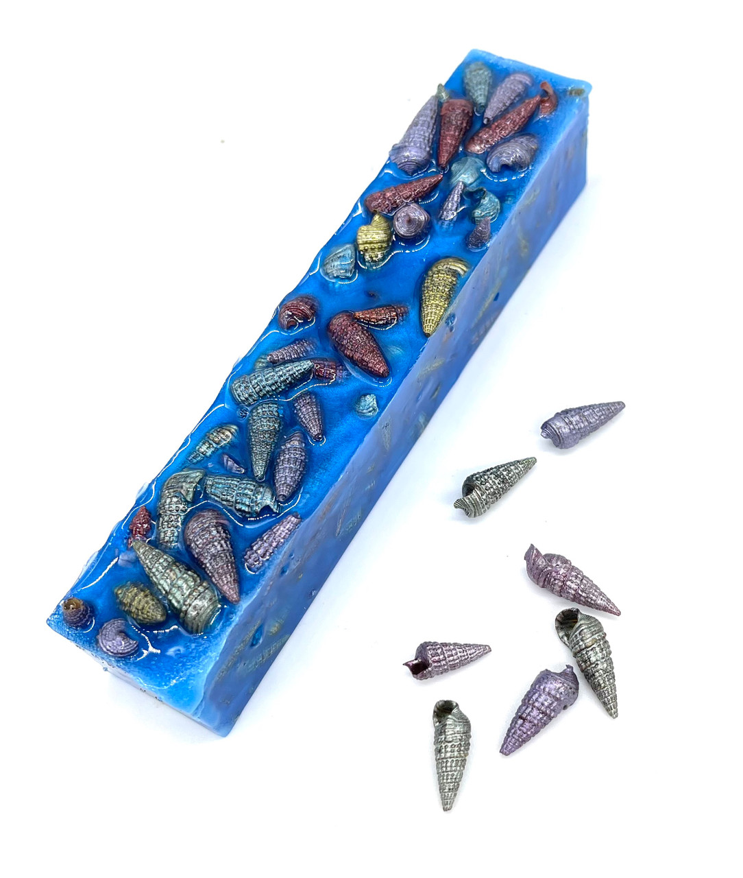 #230 Dyed Sea Shell blanks