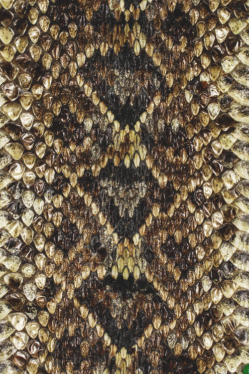 EASTERN DIAMOND Snake Skin (label cast) Pen Blanks - Pen Kit Mall