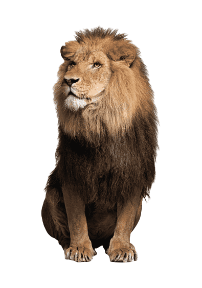 Lion Pen Blank - Pen Kit Mall