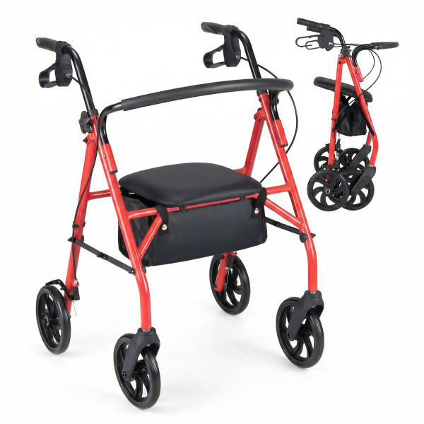 2-in-1 Rollator Walker - Pick Your Plum