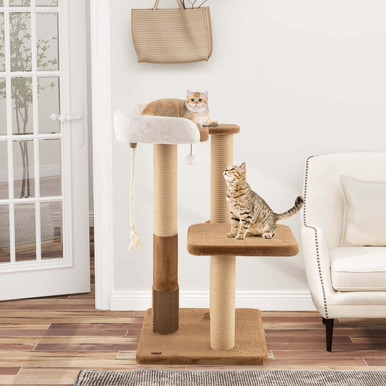 44" Indoor Cat Tree with Perch Scratching Posts - Pick Your Plum