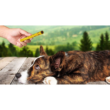 12-Inch Chicken Crunchy Munchy Rolls Dog Treats (3 to 12-Count) - Pick ...