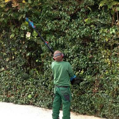 Pruning Shear with Extension Pole - Pick Your Plum