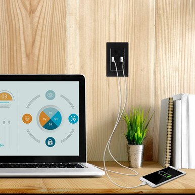 Dual USB Wall Outlet - Pick Your Plum