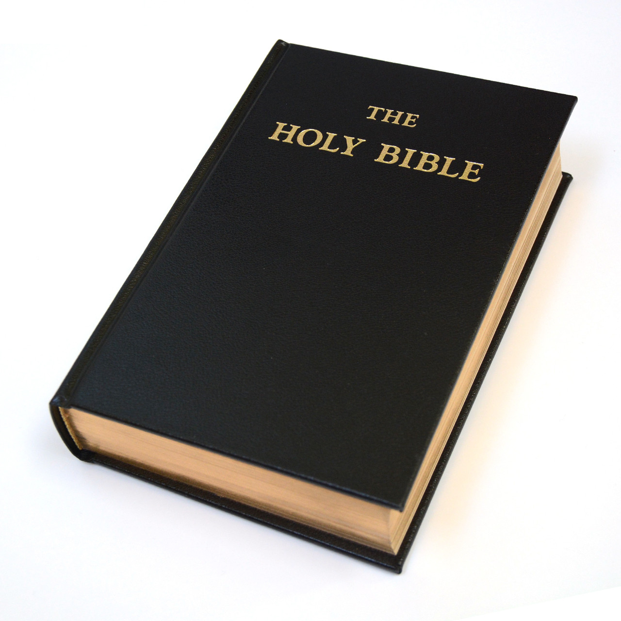 The Holy Bible - Douay Rheims Version