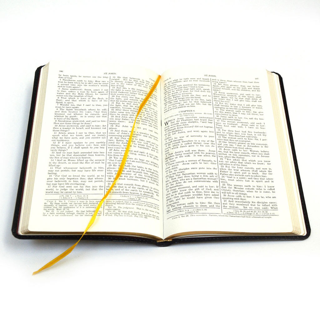 the-psalms-new-testament-douay-rheims