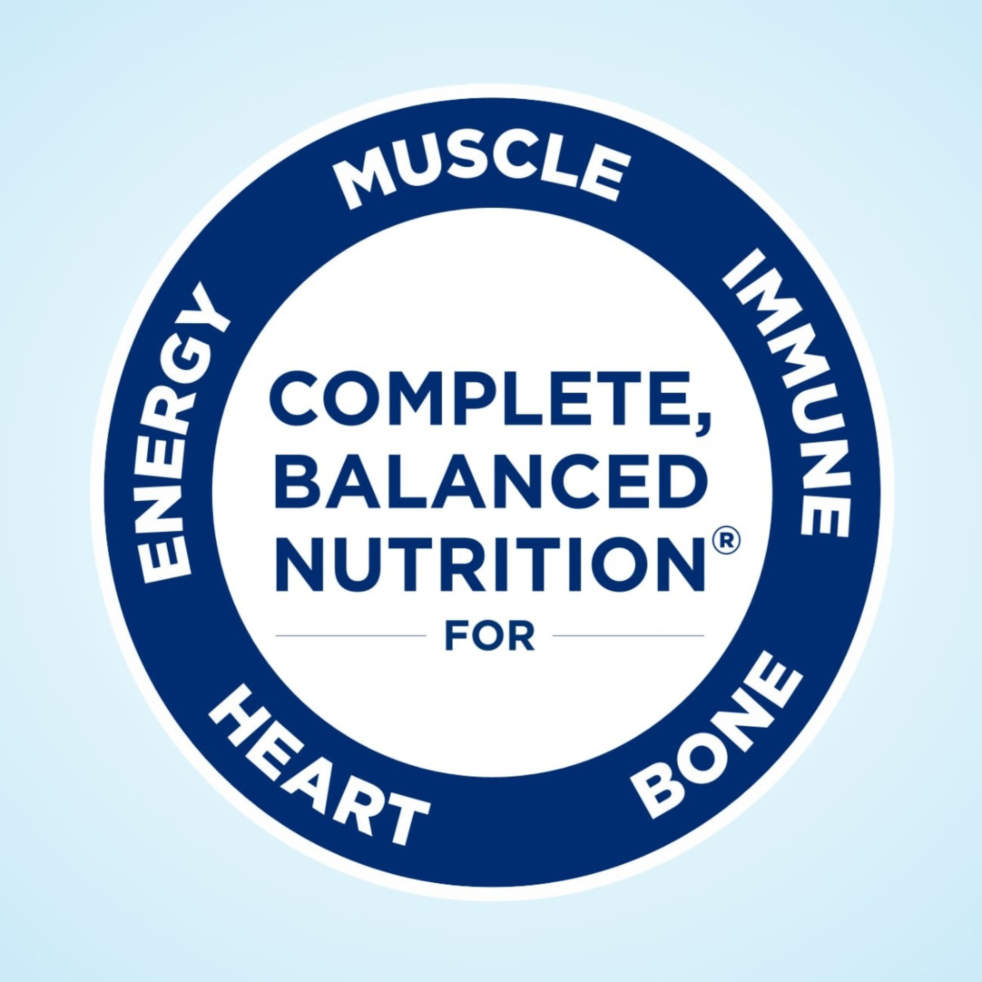 Ensure Plus High Protein Nutrition Shake | Shop at Carewell