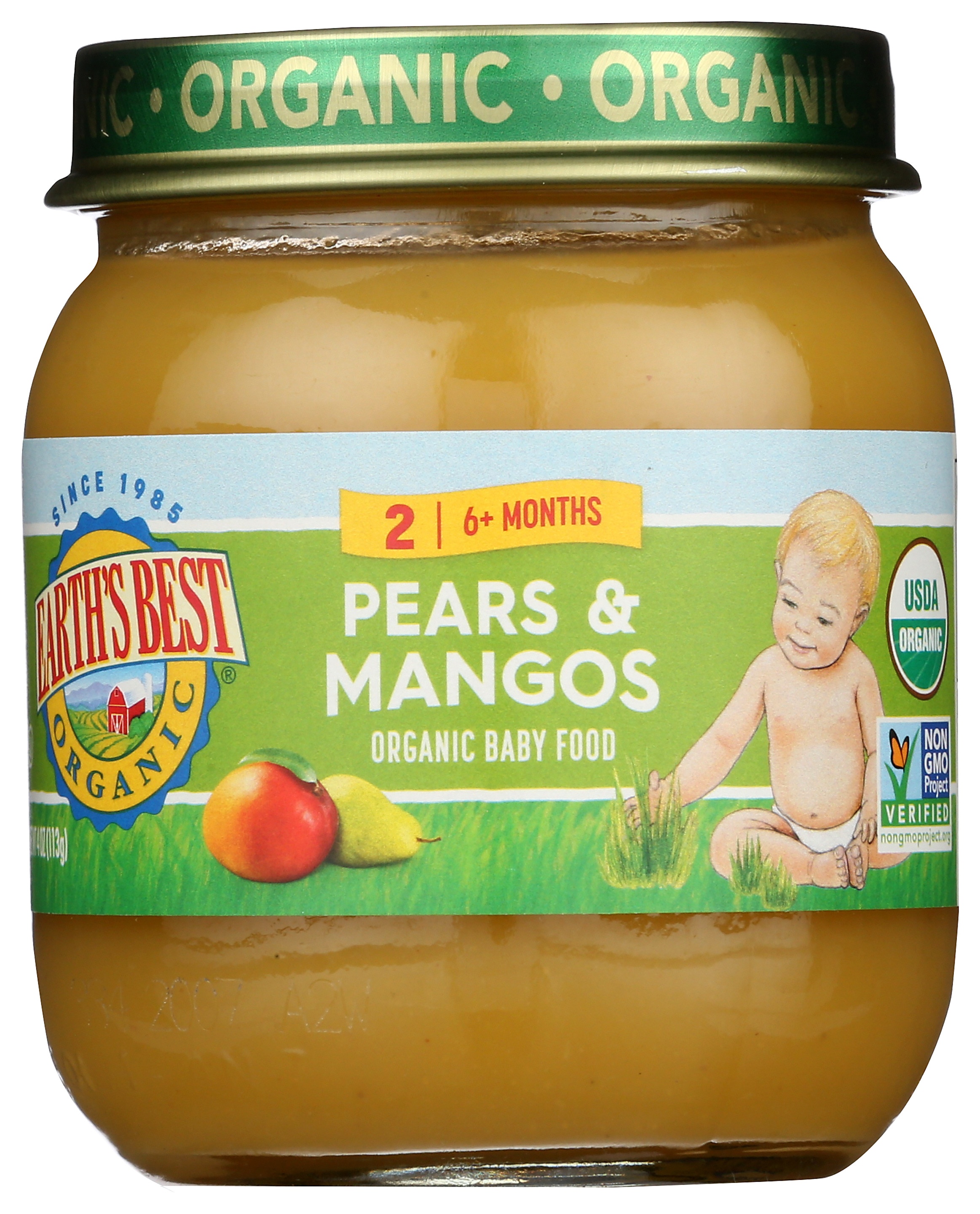 Earth's Best Stage 2 Baby Food | Shop at Carewell