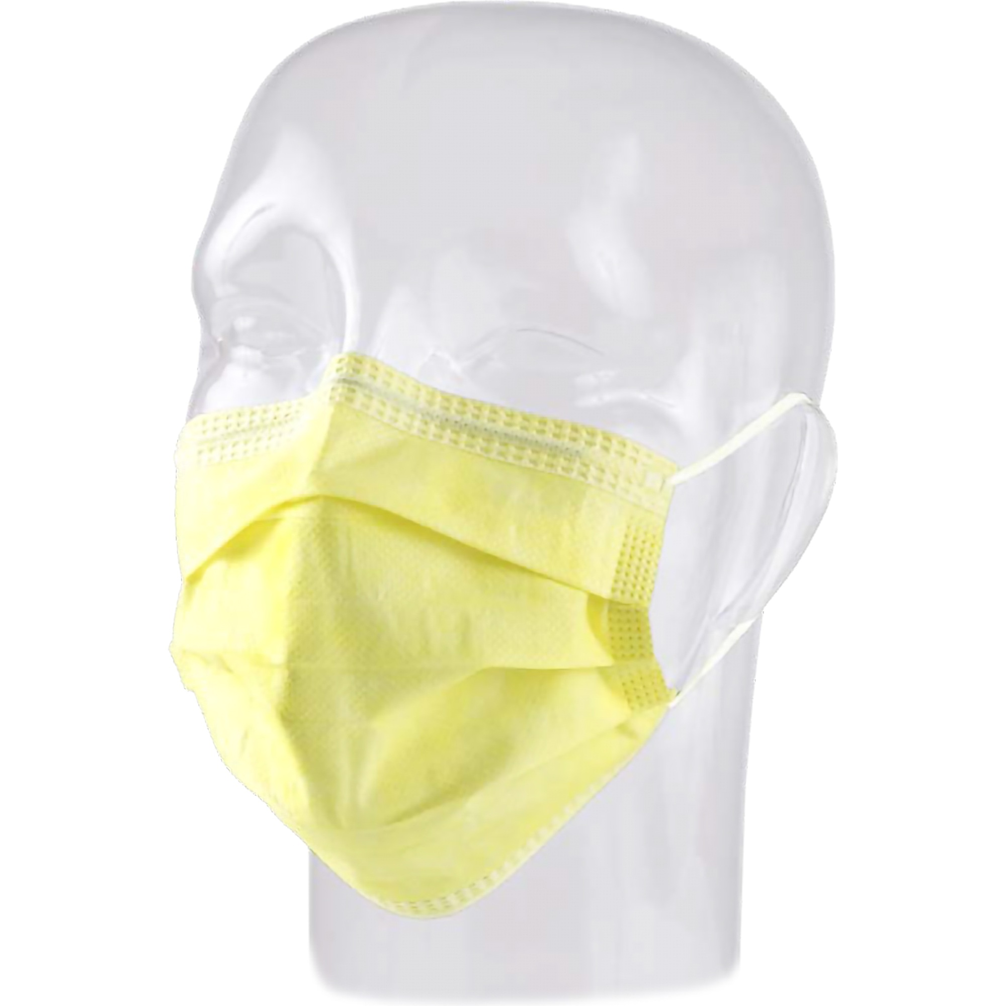 Precept Isolation Mask with Earloops | Shop at Carewell