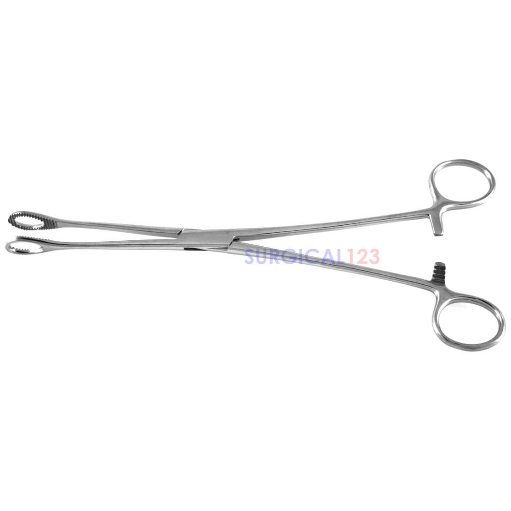 Sponge Forceps Straight Serrated Jaws | Surgical123.com