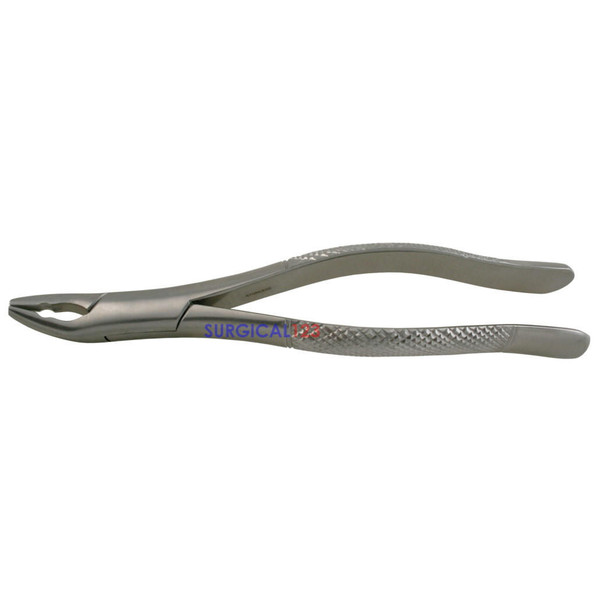 Extracting Forceps #150AS Dental Instruments Surgical123.com