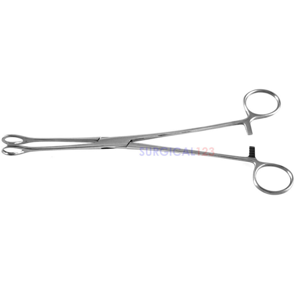 Sponge Forceps | Surgical Instruments Supply