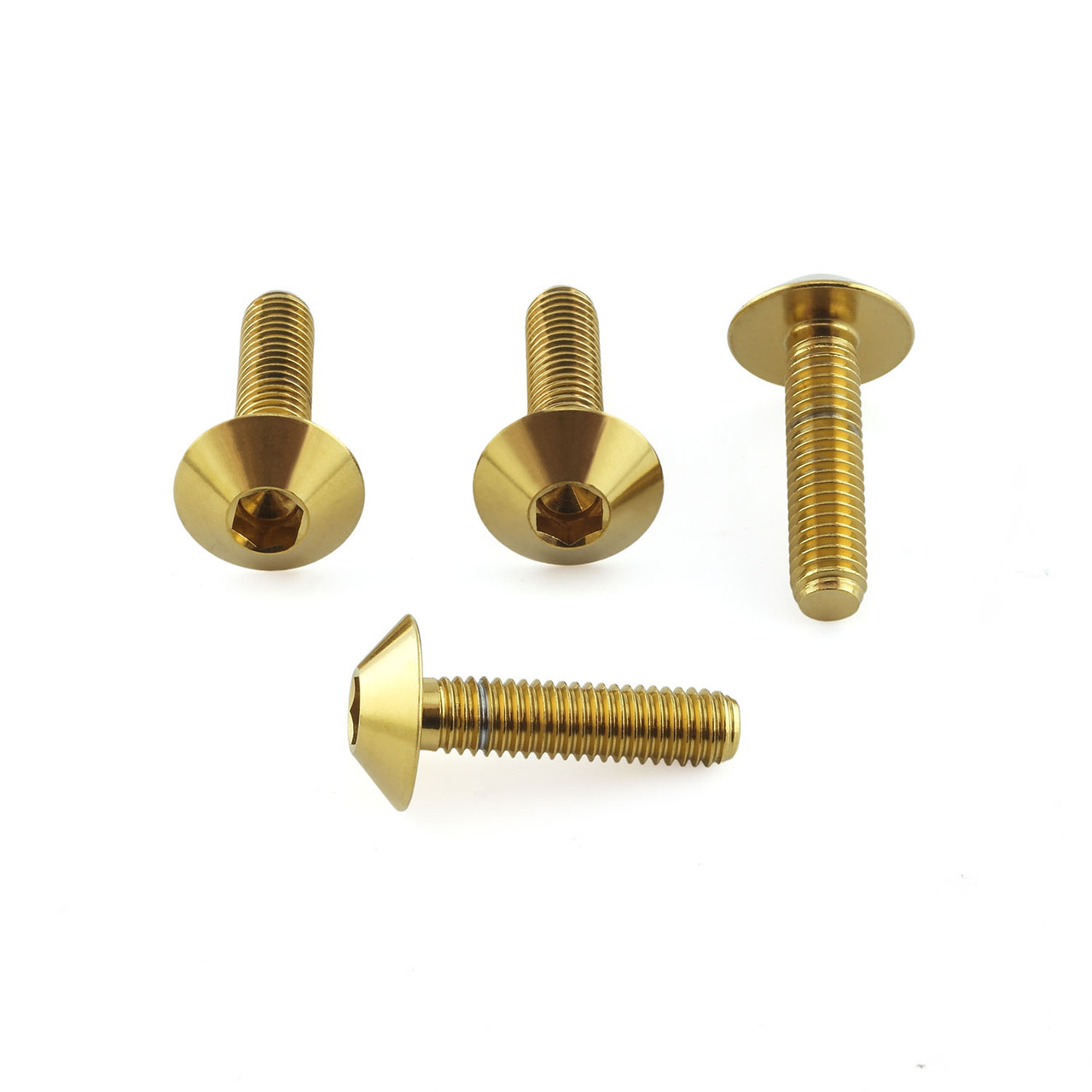 Stainless Steel Screen Kit 4 Bolts | Pro-Bolt