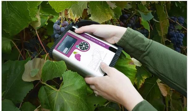 F-751 Grape Quality Meter