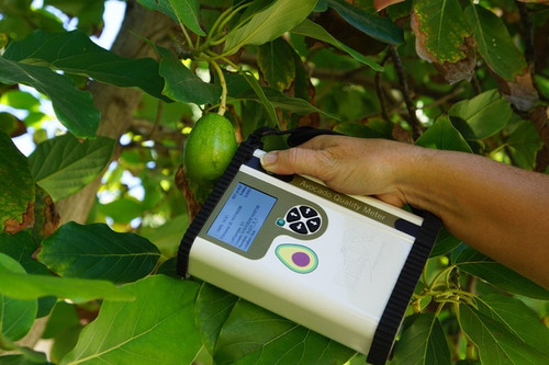 F-751 Avocado Quality Meter - Fresh Produce Instruments