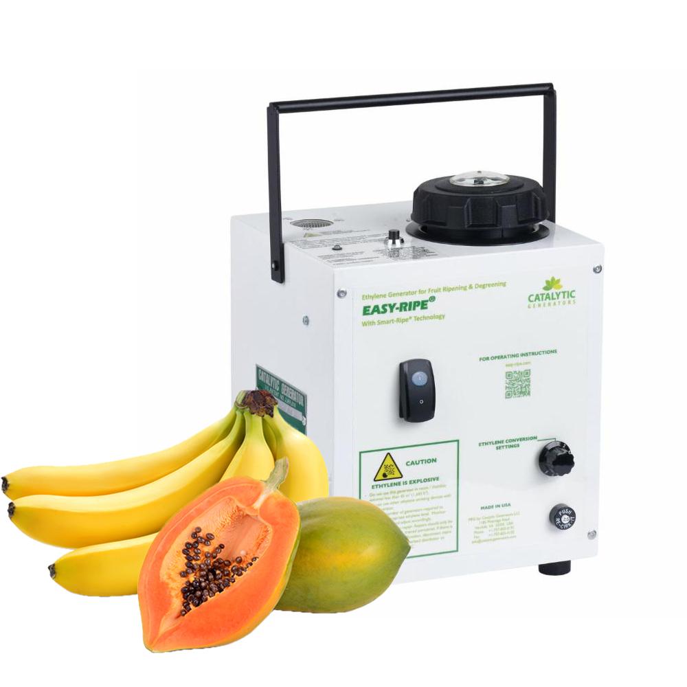 Procedures for Ripening Bananas with Ethylene Application - Fresh ... Procedures for Ripening Bananas with Ethylene Application - Fresh ...