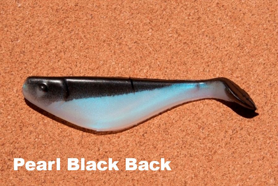 Sassy Shad - 2 5/8" - 100 Pack - You Pick Colors - Shad Bodies