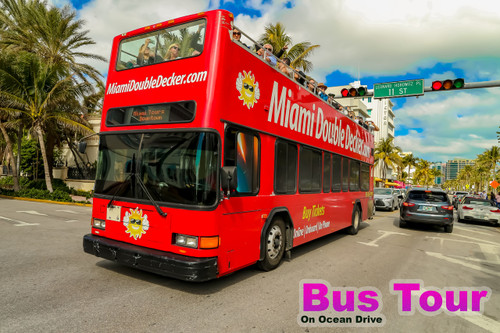 Miami Bus Tour + Miami Boat Tour