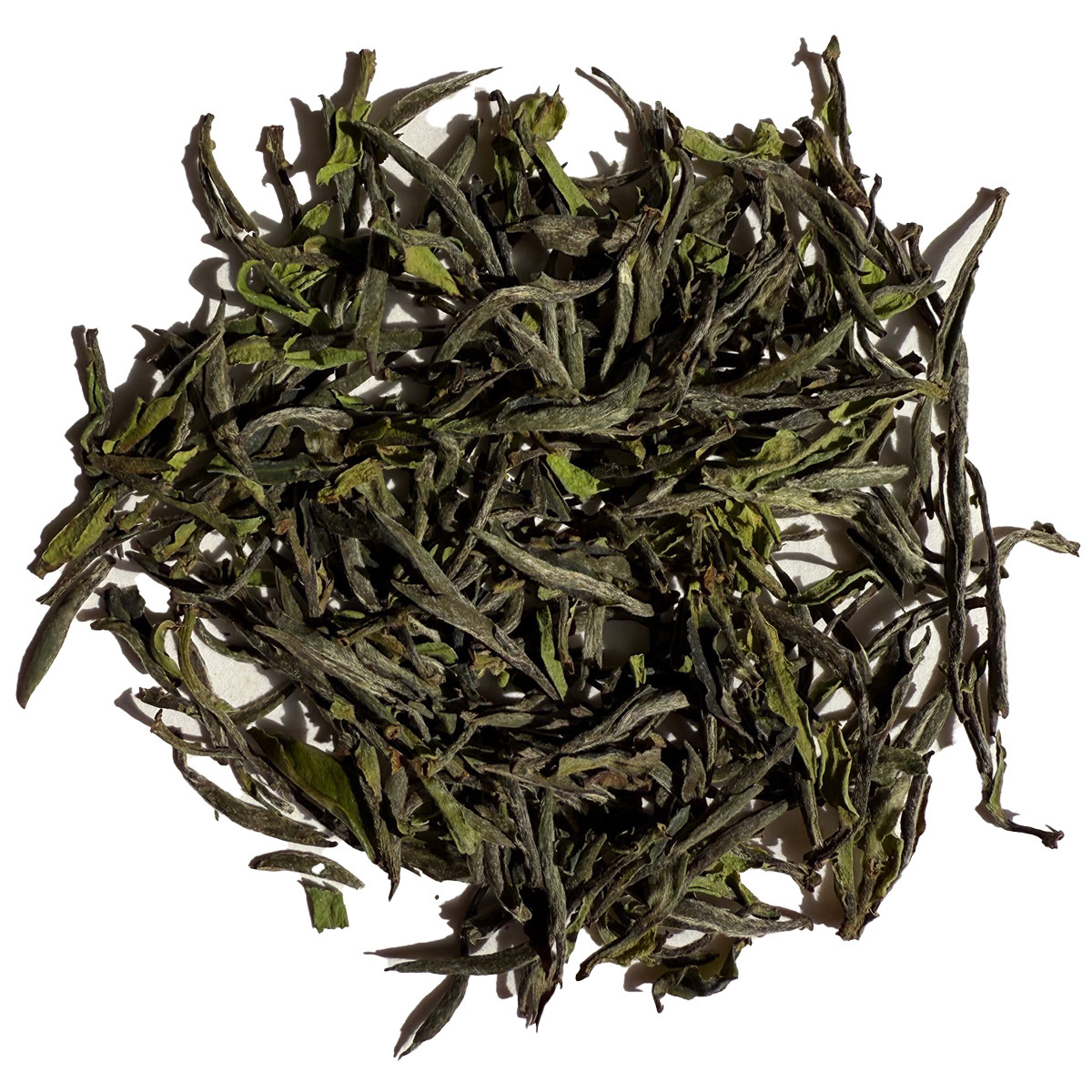 The highest grade of Chinese white tea | Silk Road Teas