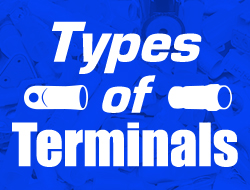 Types of Terminals - Pacer Group