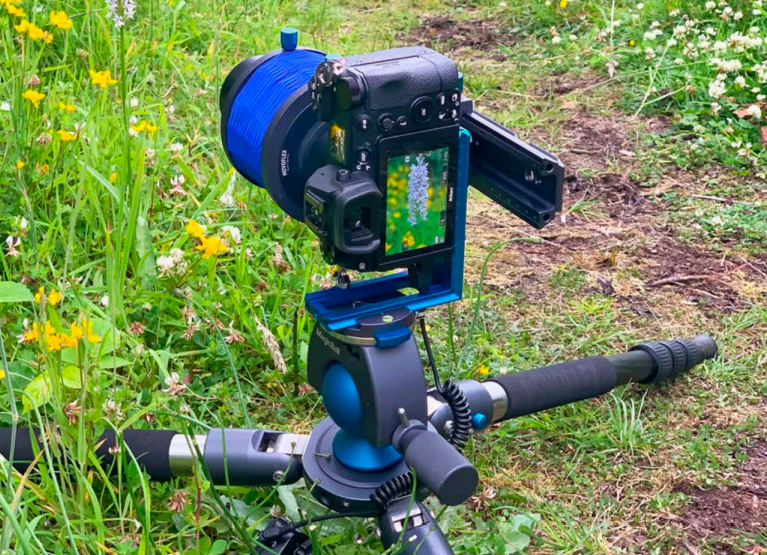 The Novoflex Bellows System, a field-based review by Robert Thompson ...