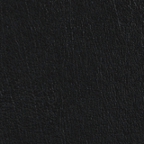 ColorGuard Black