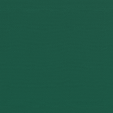 Classic Soccer Field - Graham Fabrics and Supply